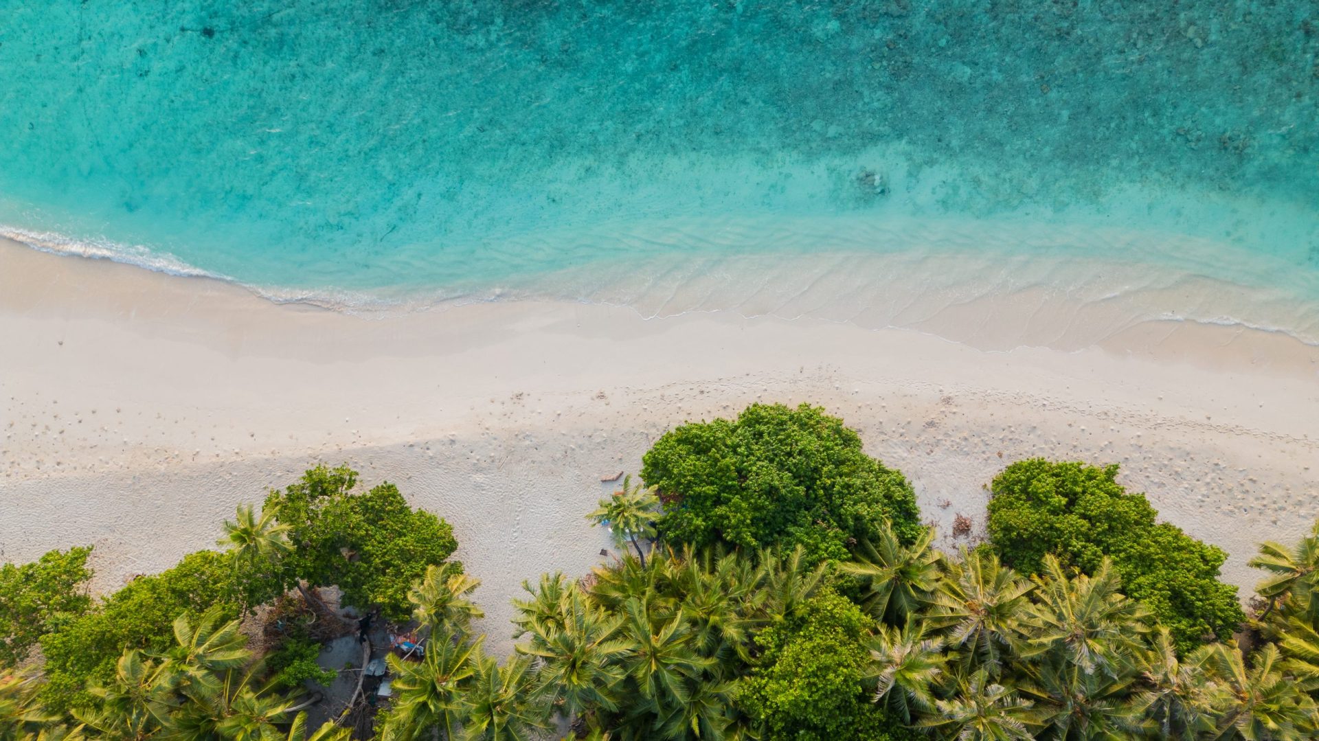 Accommodations - Dhoani Maldives